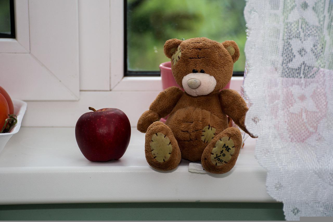 Why Place a Teddy Bear in Your Window - Teddy Bear